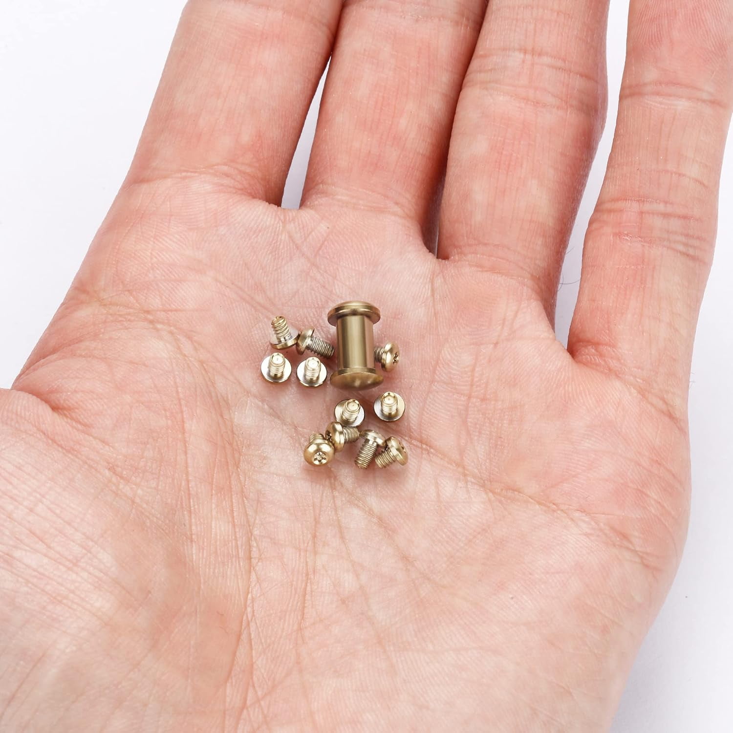 TRAHOO-13Pcs Complete Titanium Screw and Pivot Dress Kit for Benchmade ...