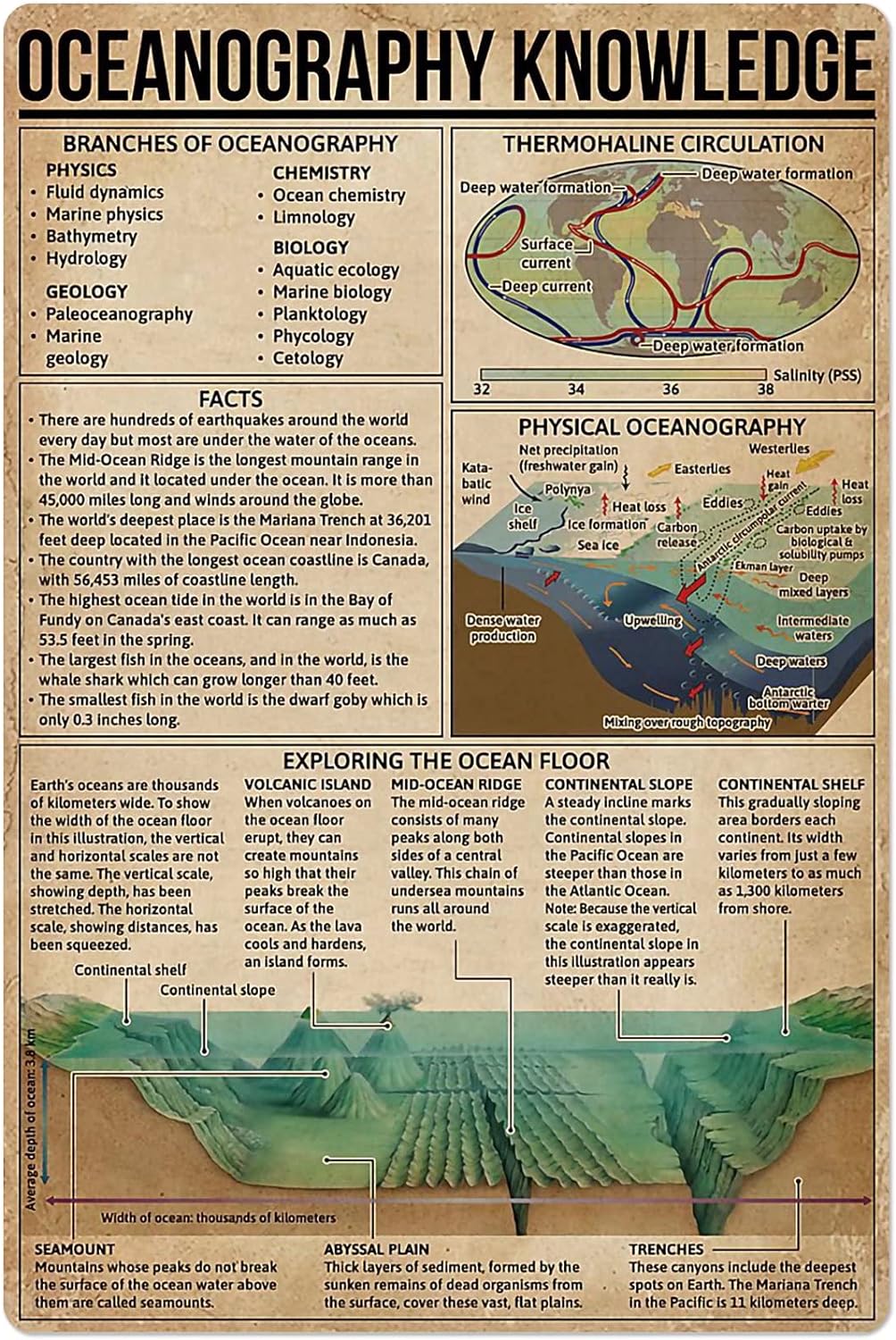 TRAHOO-20*30CM-Oceanography Knowledge Metal Sign Educational Guide Chart Poster Club Decor ...