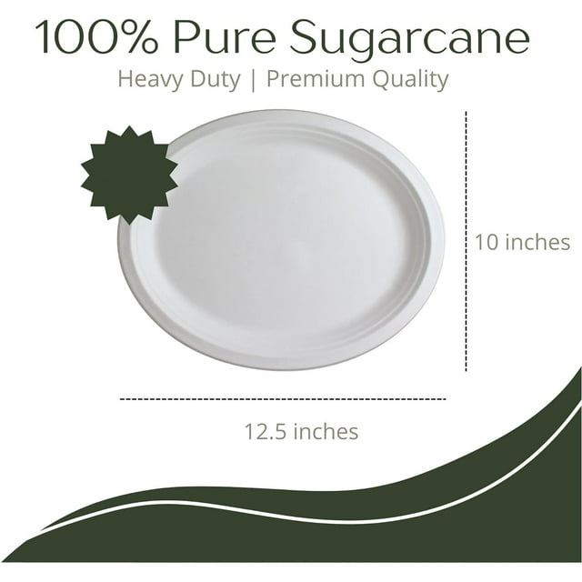 TRAHOO-36 pack Oval Paper Plates 12 inch 100% Compostable Heavy-Duty ...