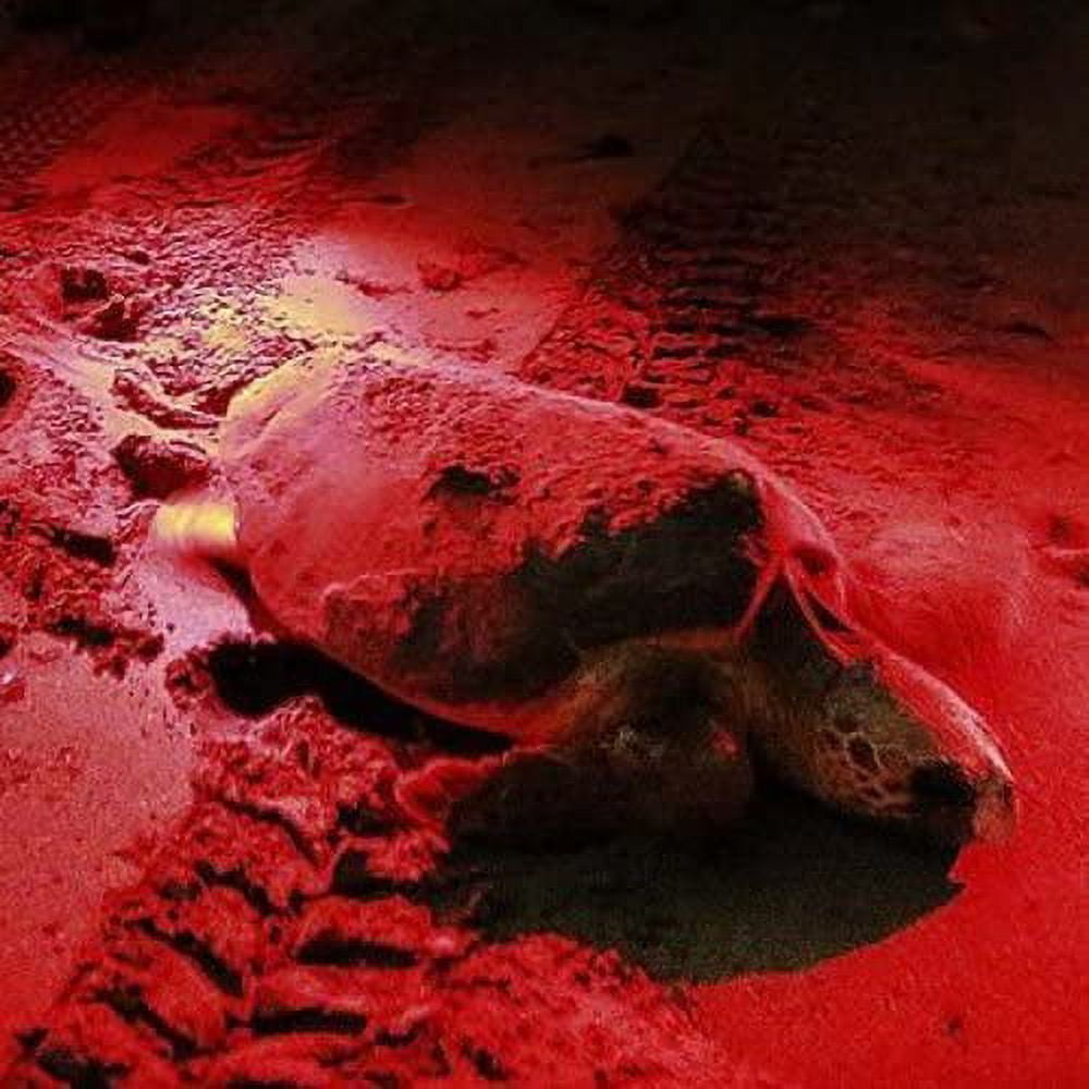 TRAHOO-9 LEDs 625nm Pocket Red Light Flashlight for Viewing Star Maps ...