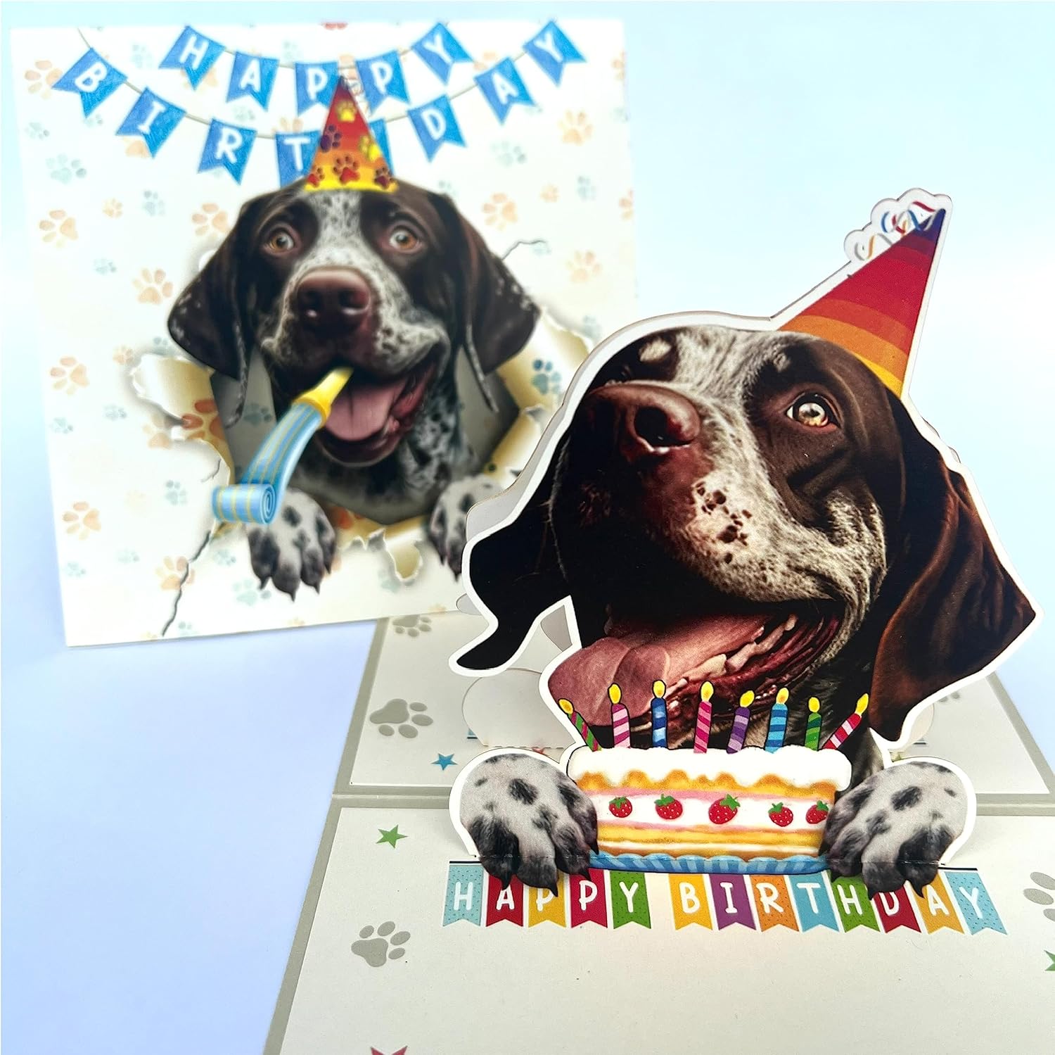 TRAHOO-German Shorthaired Pointer 3D Birthday Funny Pop Up Cards ...