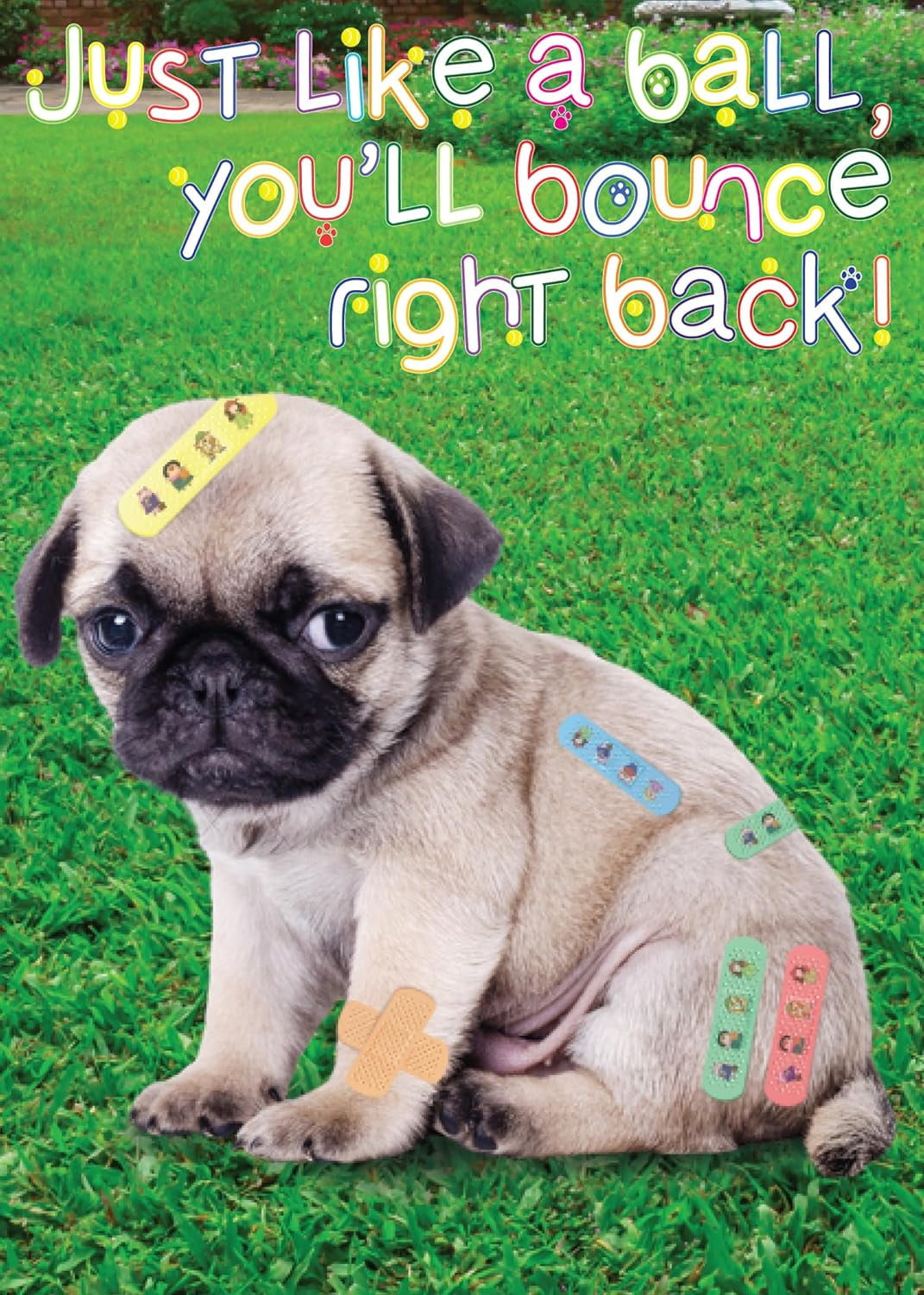 TRAHOO-Just Like a Ball You'll Bounce Right Back Get Well Soon Card ...