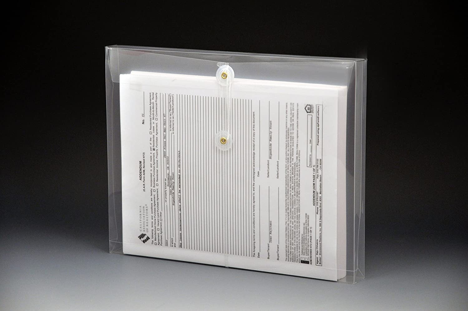 TRAHOO-Lion String-A-Long Clear Poly Envelopes with Gusset, Letter ...