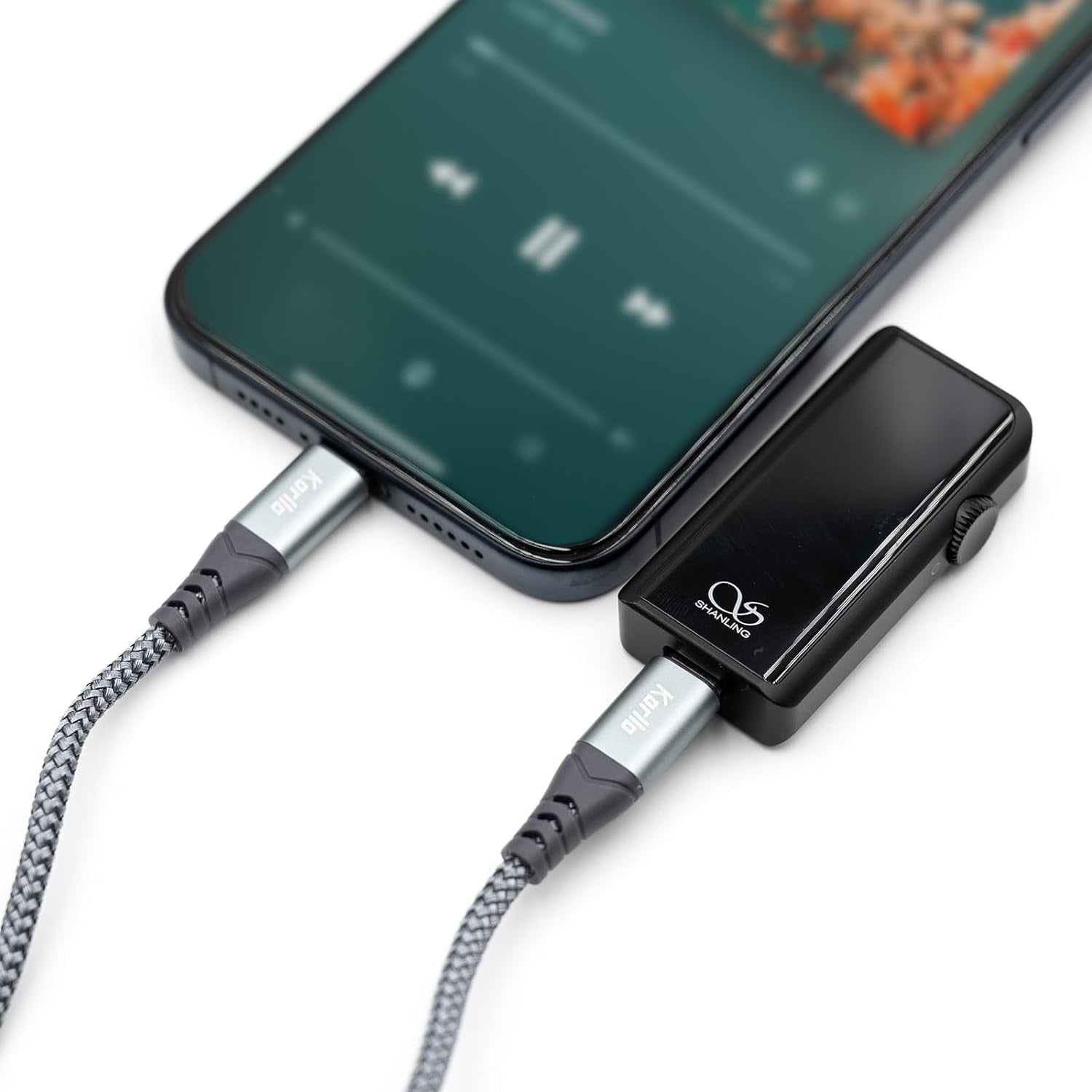 TRAHOO-OTG Cable USB C, 1 ft for USB-C DAC, Camera, iPhone 15, Samsung ...