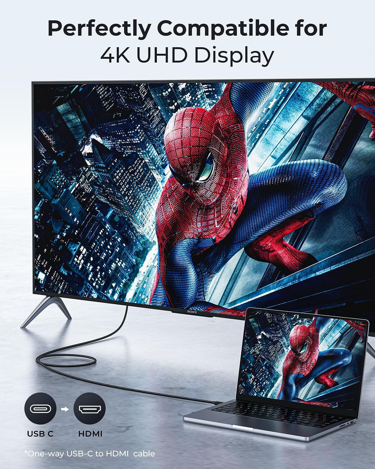 TRAHOO-USB C to HDMI Cable (4K@30Hz) 6.6ft Cable, USB Type C to HDMI ...