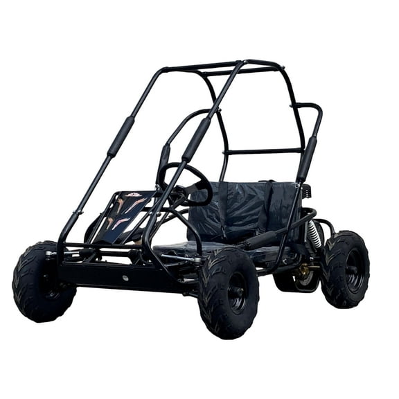 Coleman Powersports GK200 196cc Gas Powered Go-Kart, Two-Seater Off ...