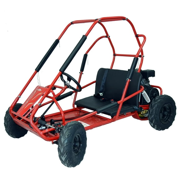 TRAILMASTER Mid XRX/R - Deluxe Go Kart Buggy with Reverse, Full roll ...