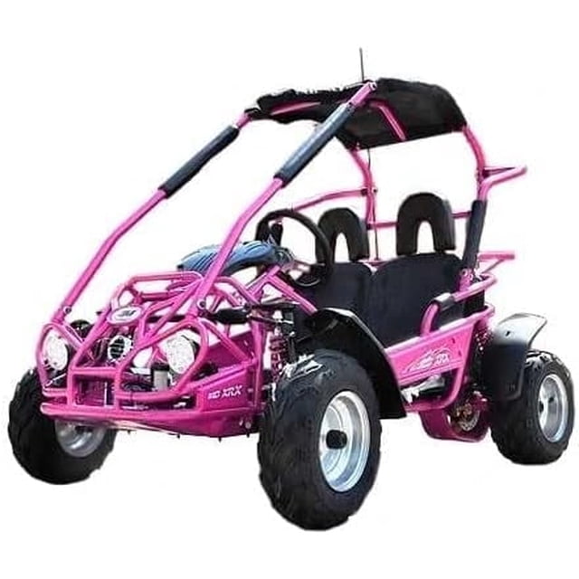 TRAILMASTER Mid XRX/R - Deluxe Go Kart Buggy with Reverse, Full roll ...