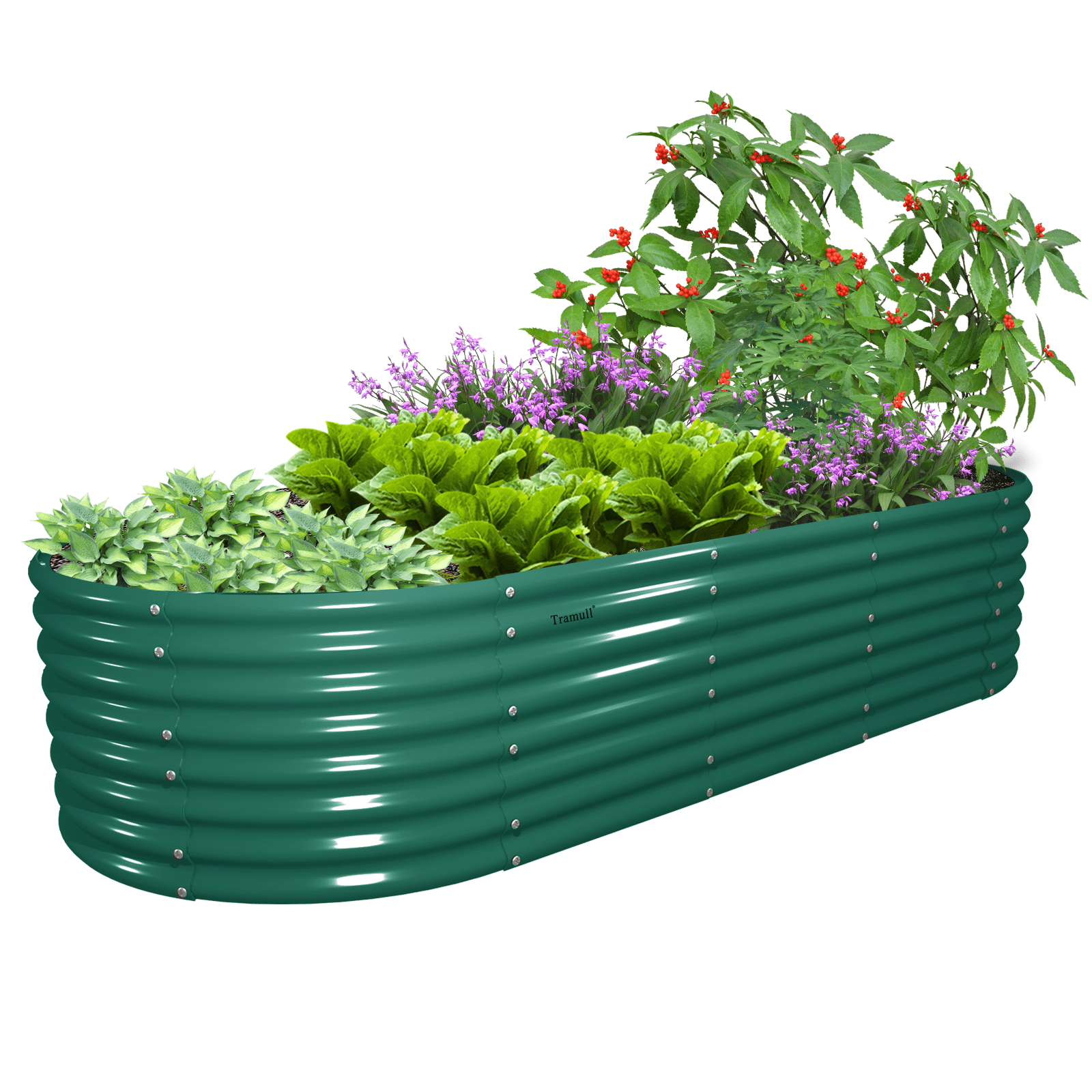 TRAMULL Elevated Tall 8X3X2ft Galvanized Raised Garden Bed, Oval Above ...