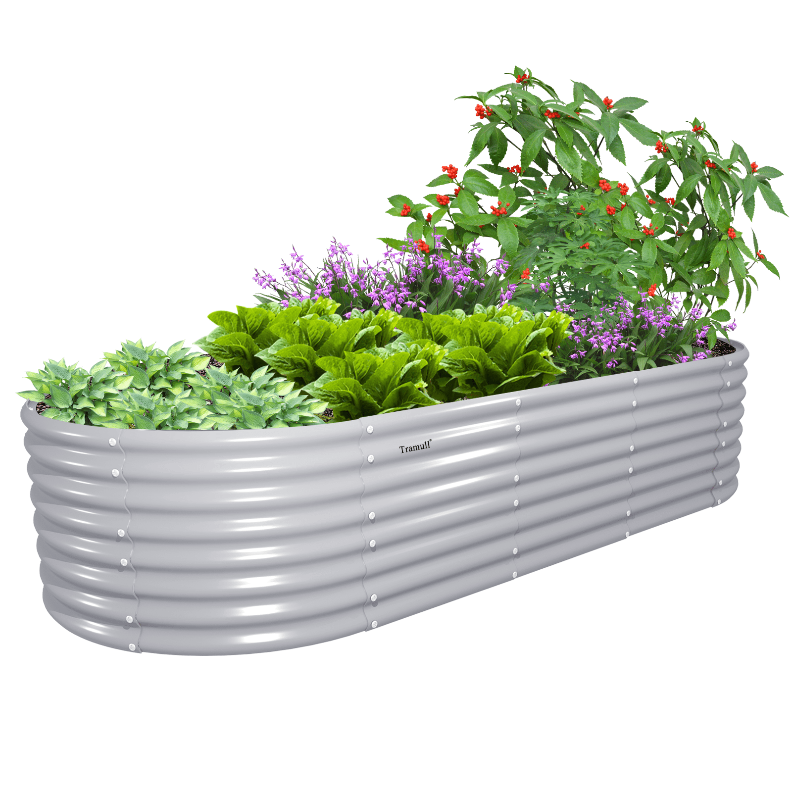 TRAMULL Elevated 8X3X2ft Galvanized Raised Garden Bed, Oval Metal ...