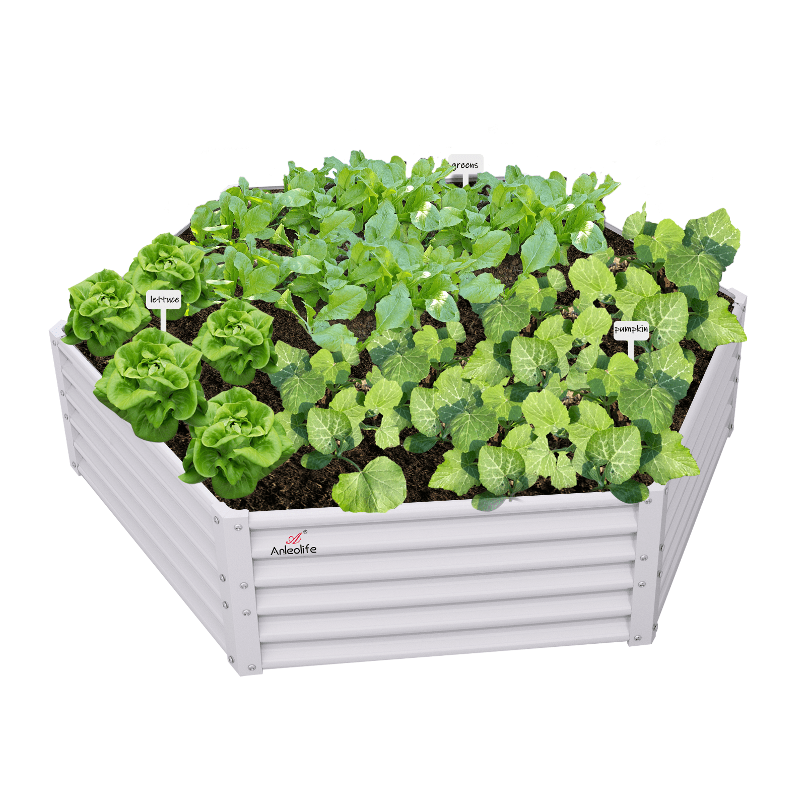 TRAMULL Hexagon Galvanized Raised Garden Beds Outdoor,70x60x18in Metal ...