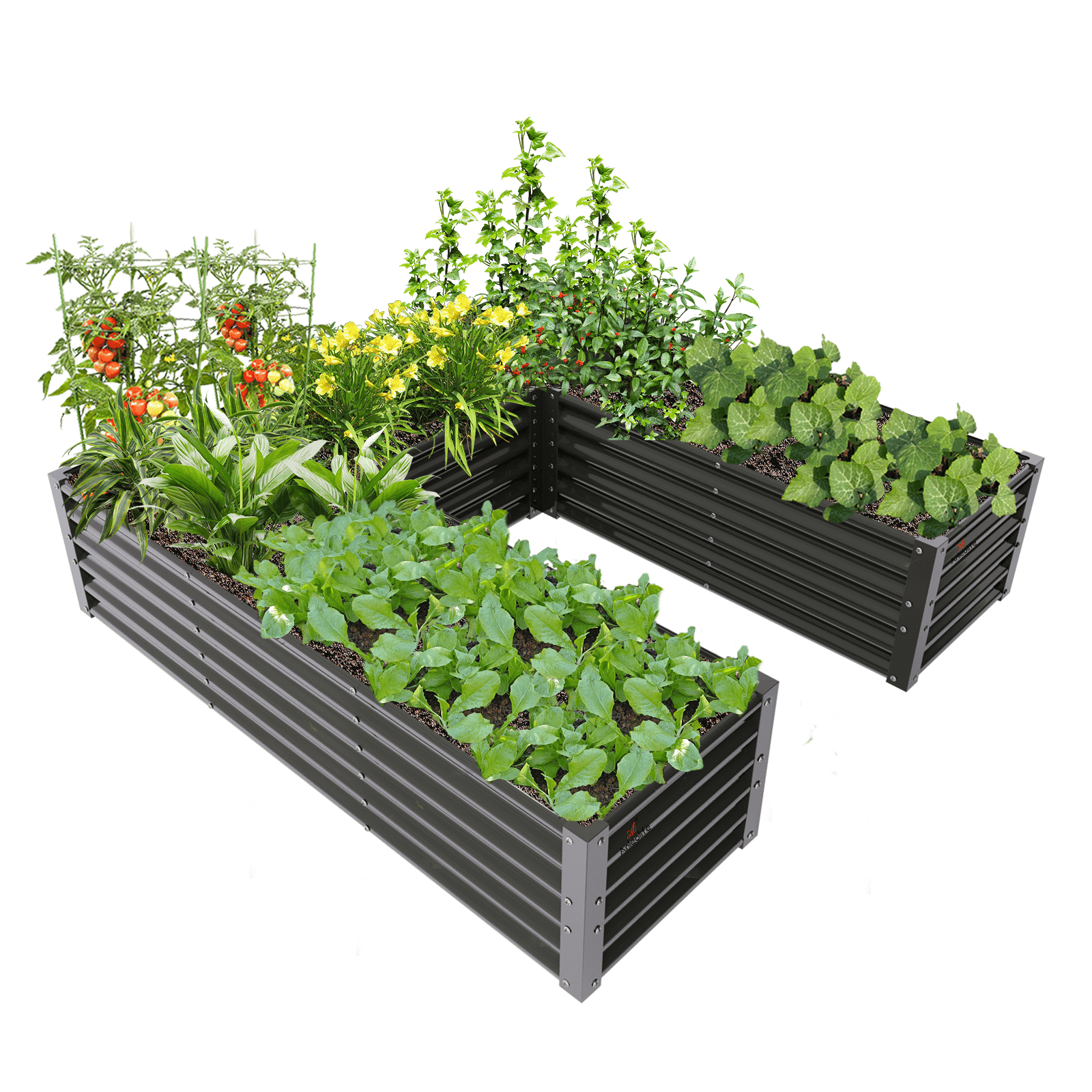 TRAMULL U-Shaped Galvanized Raised Garden Beds Outdoor,6x6x1.5ft Large ...