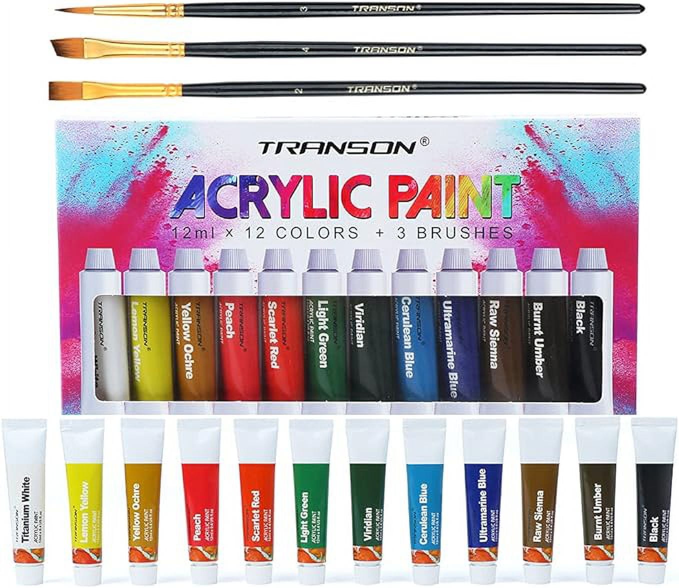 TRANSON Acrylic Paint Set 12-Color with 3 Paint Brushes for Craft ...