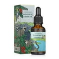 TREEANNSEA Madagascar Tamanu Oil 1.05 Fl.Oz / 30ml,100% Pure, Cold ...