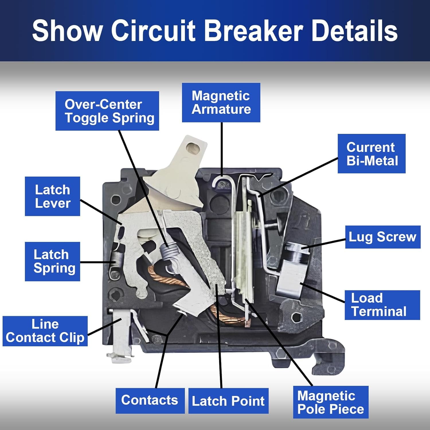 TRH-30 Amp 2-Pole Circuit Breaker, OEM Replacement for Most Breaker ...