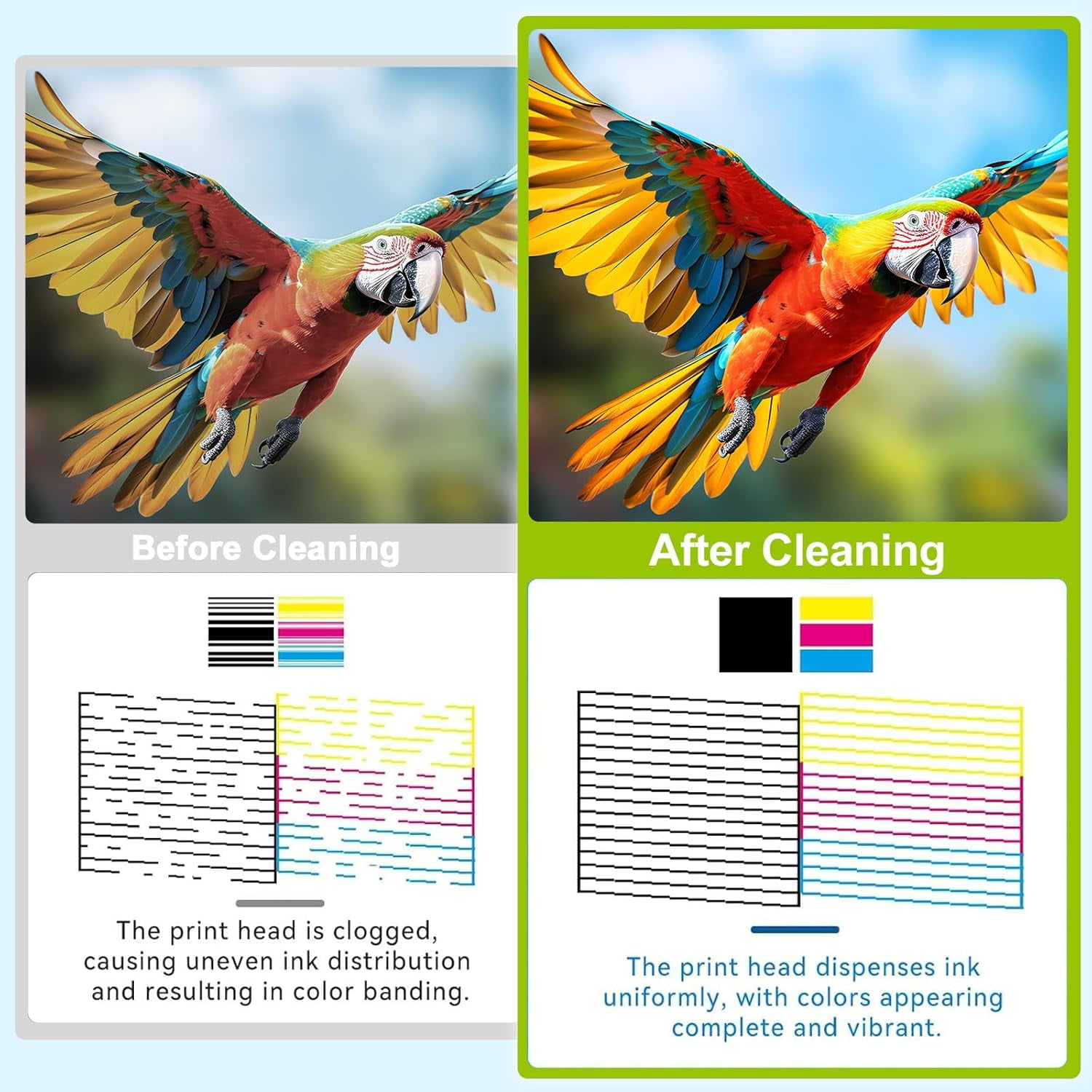 TRH-DTF Cleaning Kit - 250ML DTF Printer Cleaning Solution, Universal ...