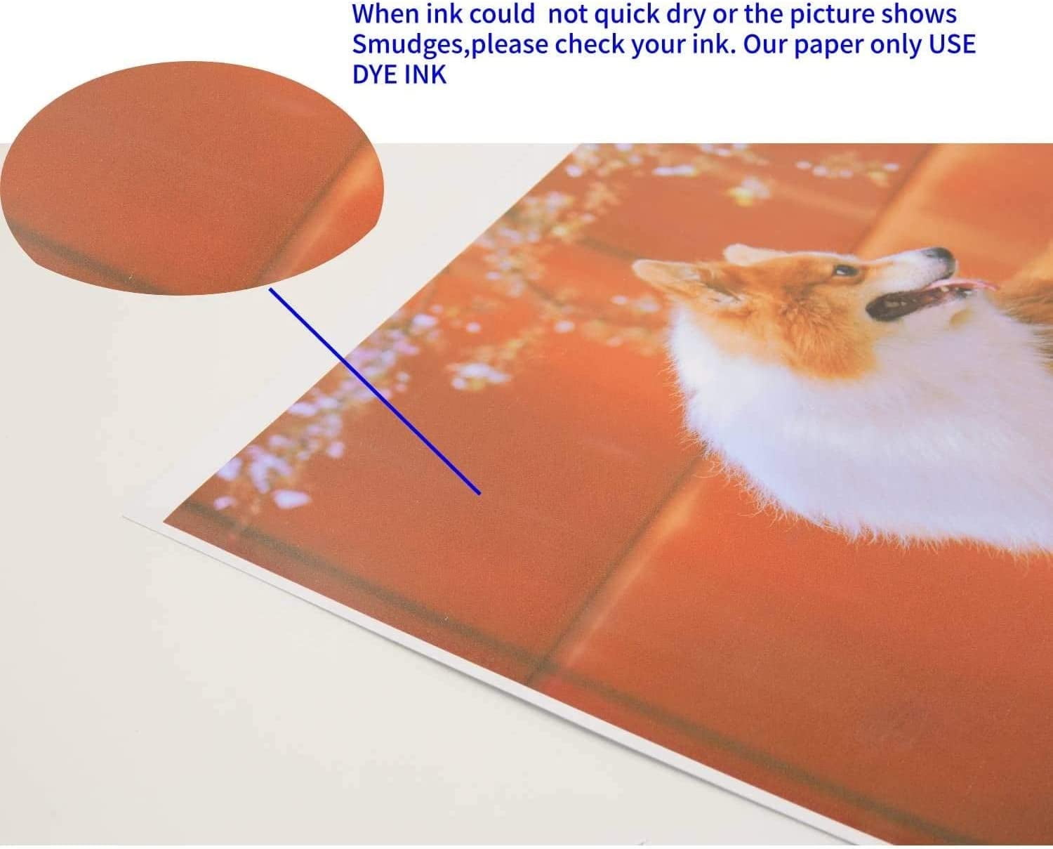 TRH-Koala Heavyweight Photo Paper High Glossy 8.5x11 Inches for Inkjet Printing 100 Sheets 61LB ...