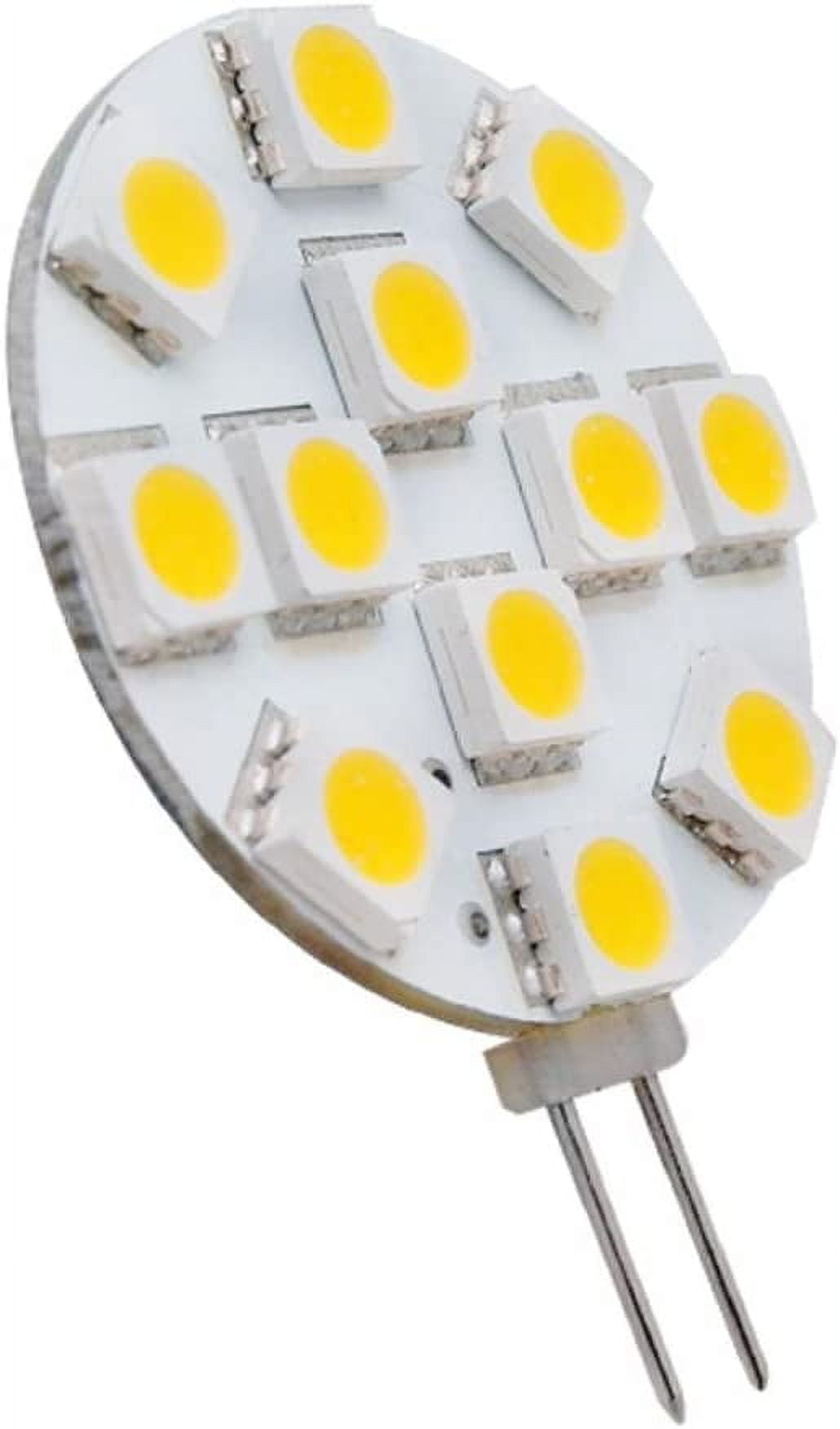 TRHOO-Dream Lighting LED 12volt DC G4 Bulb Equivalent to 20W Halogen ...