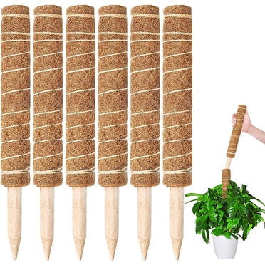 Envelor Coco Moss Poles Plant Support Stakes Coco Plant Stake Pothos ...