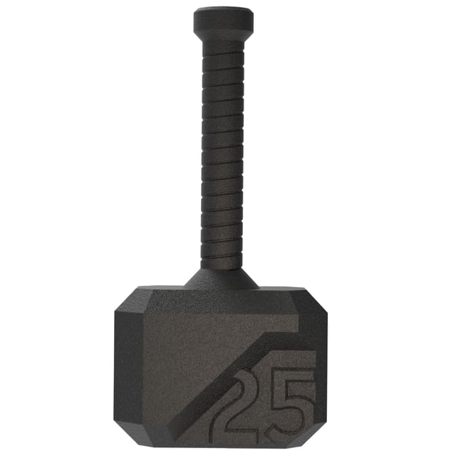 TRIBE WOD Hammer Series 25lb Cast Iron Kettlebell for Heavy Exercise ...