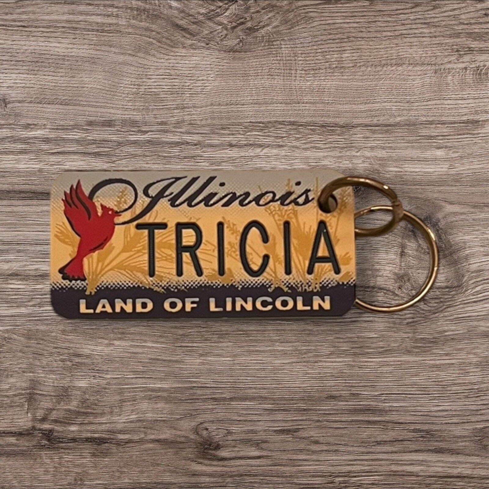TRICIA Name Keychain License Plate Illinois Land of Lincoln Great ...