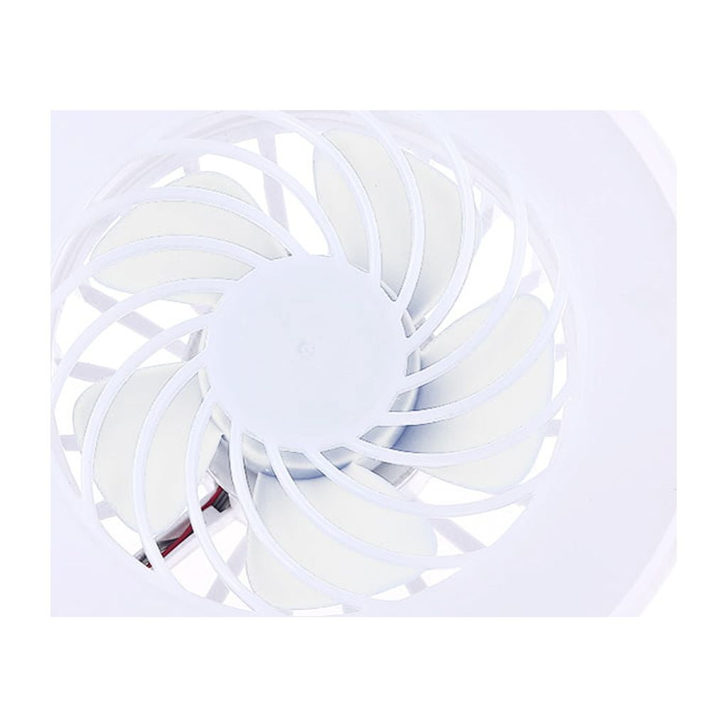 TRINGKY for Creative Household Dormitory Office Ceiling Fan with Lamp ...