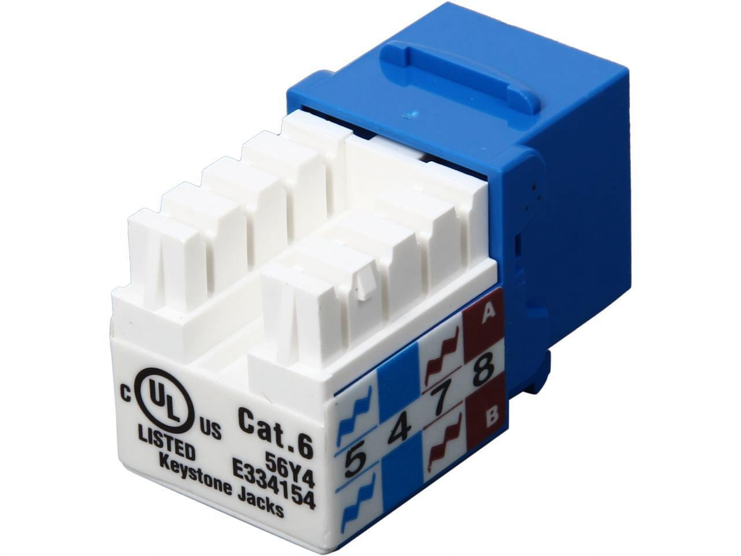 Rj45 Biscuit Jack