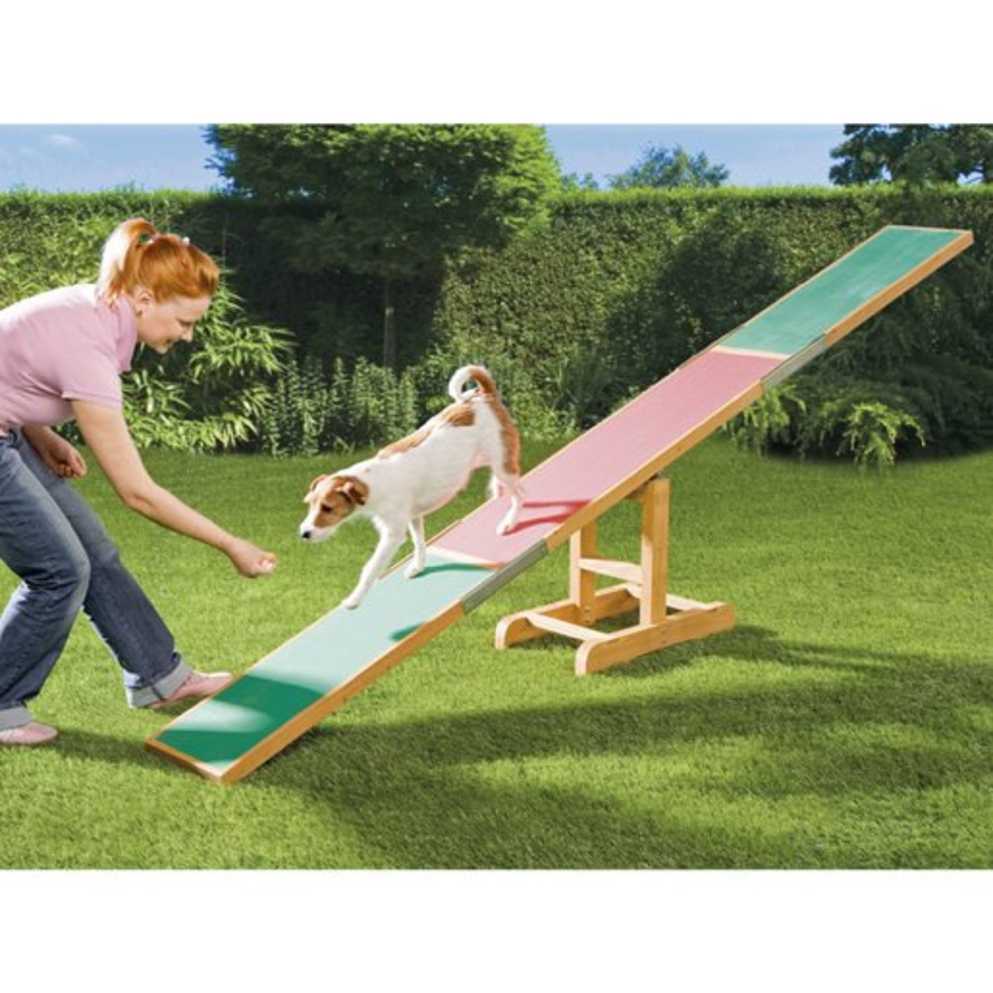 TRIXIE Dog Agility Seesaw, Canine Agility Training, Competition Seesaw ...