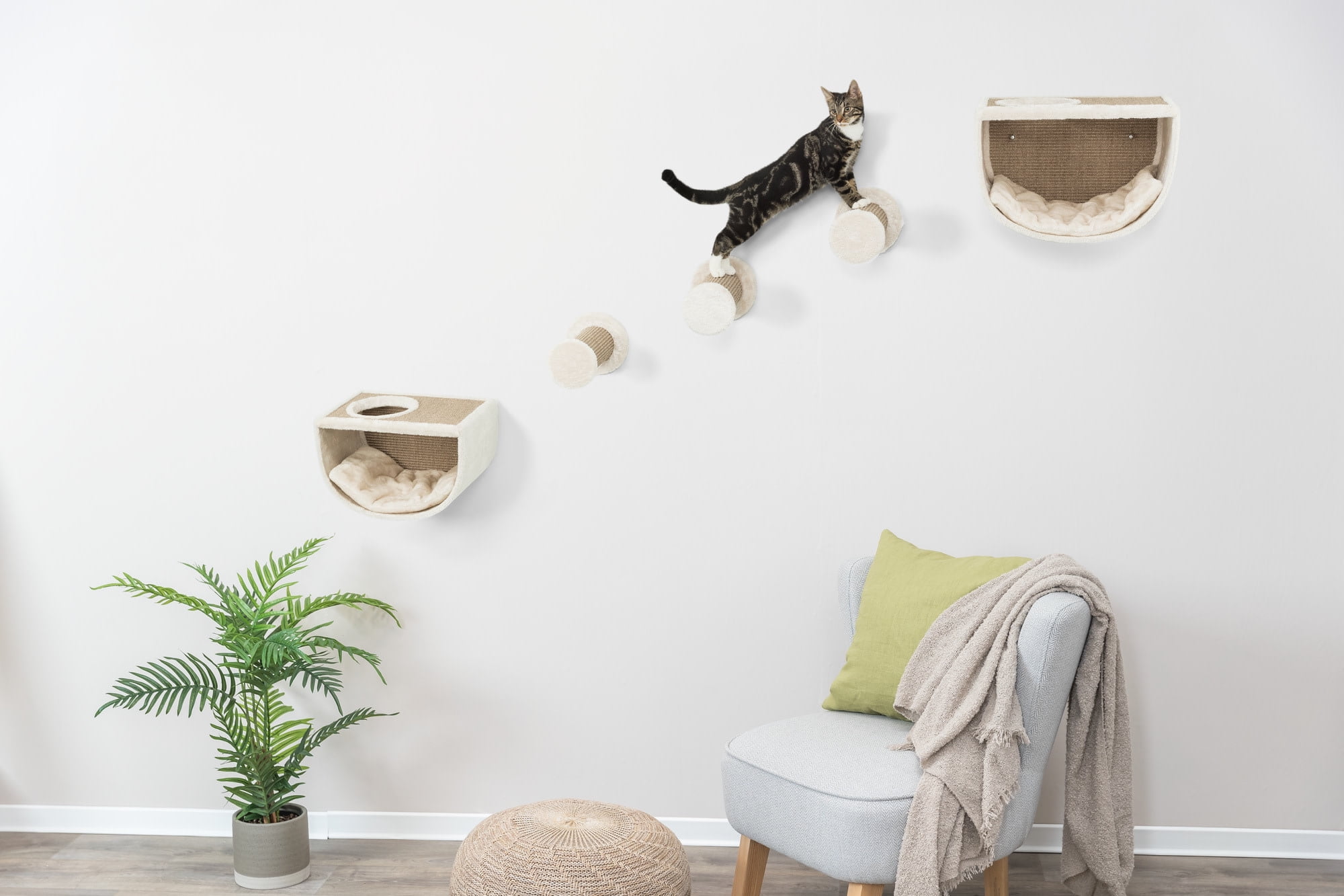 TRIXIE Eden Wall Mount Cat Tree Set, 2 Condos with 3 Steps, Cat ...
