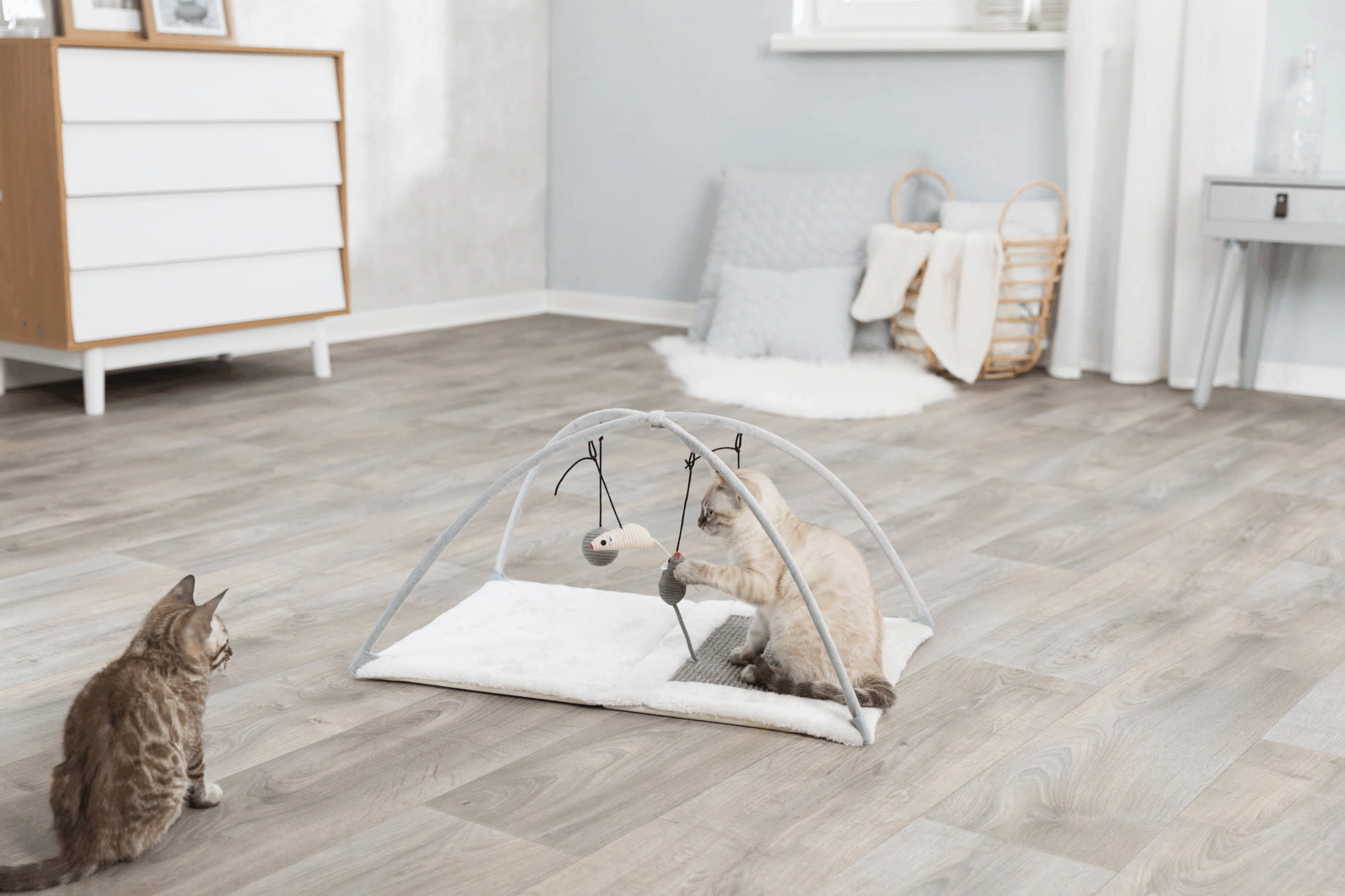 TRIXIE Junior Cat Activity Center, Interactive Cat Toy Scratching Pad ...