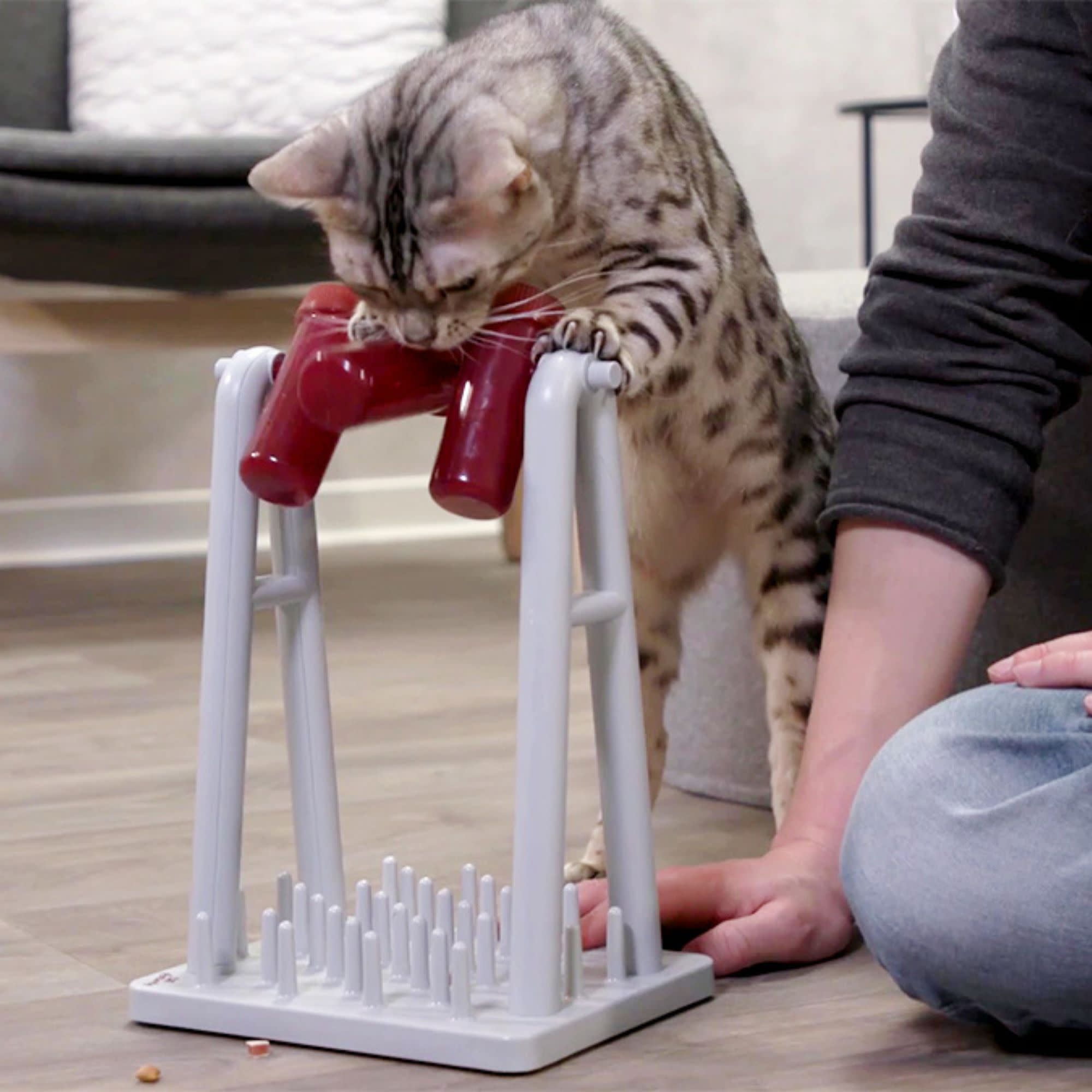 TRIXIE Mad Scientist Turn Around Strategy Game Cat Puzzle Toy, Treat ...