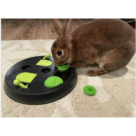 TRIXIE Rabbit Flip Board, Interactive Toy, Small Animal Puzzle, Mental ...