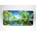 TROPICAL BEACH PALM TREES OCEAN WAVE SUNSET METAL CAR LICENSE PLATE ...