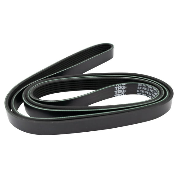 Lincoln Mkt Serpentine Belt