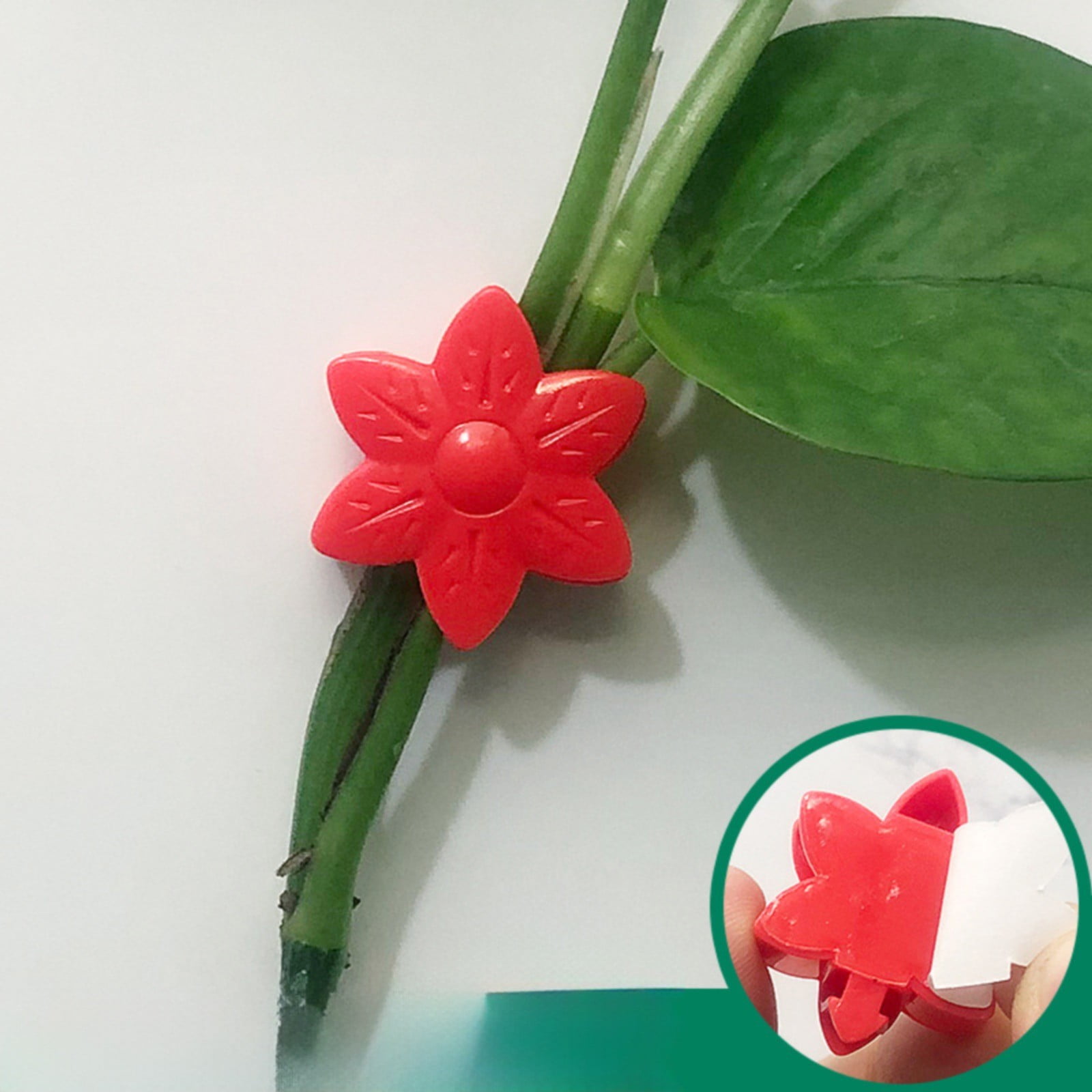 TSApan Fixing Clip Plant Climbing Wall Clips, Plant Clips For Support ...