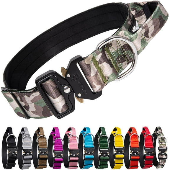Buckle-Down Pet Collar, Dog Collar Plastic Buckle, Hamburger Vivid, 8.5 ...