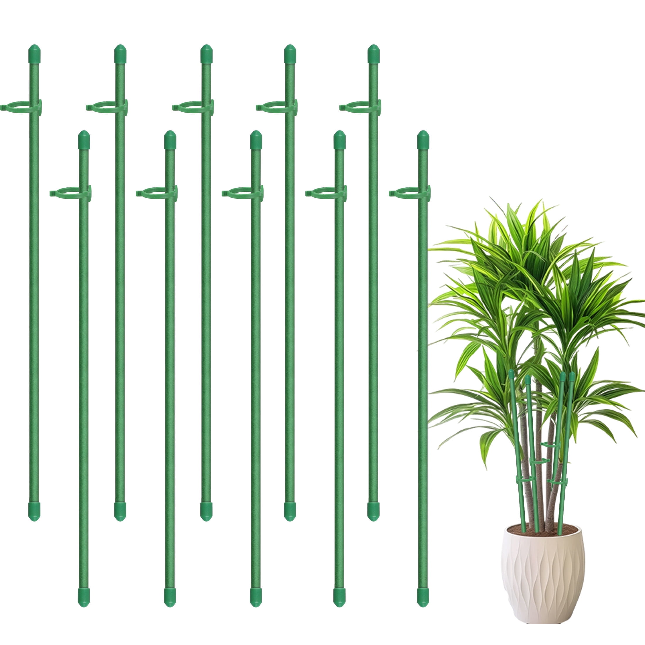 TSV 10pcs Plant Support Stakes, Single Stem Plant Sticks for Garden ...