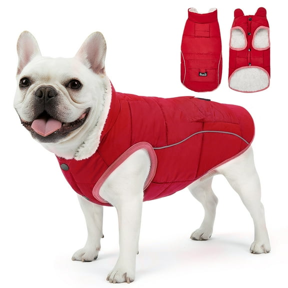 EDHITNR Winter Dog Sweater, Small Dog Clothes Warm Padded Coat, Fashion ...