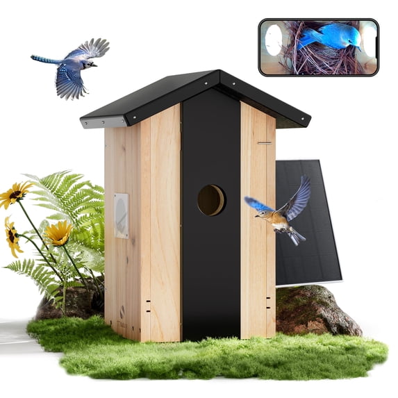 TT Nature Smart Bird House with Camera Solar-Powered,Perfect Viewing ...