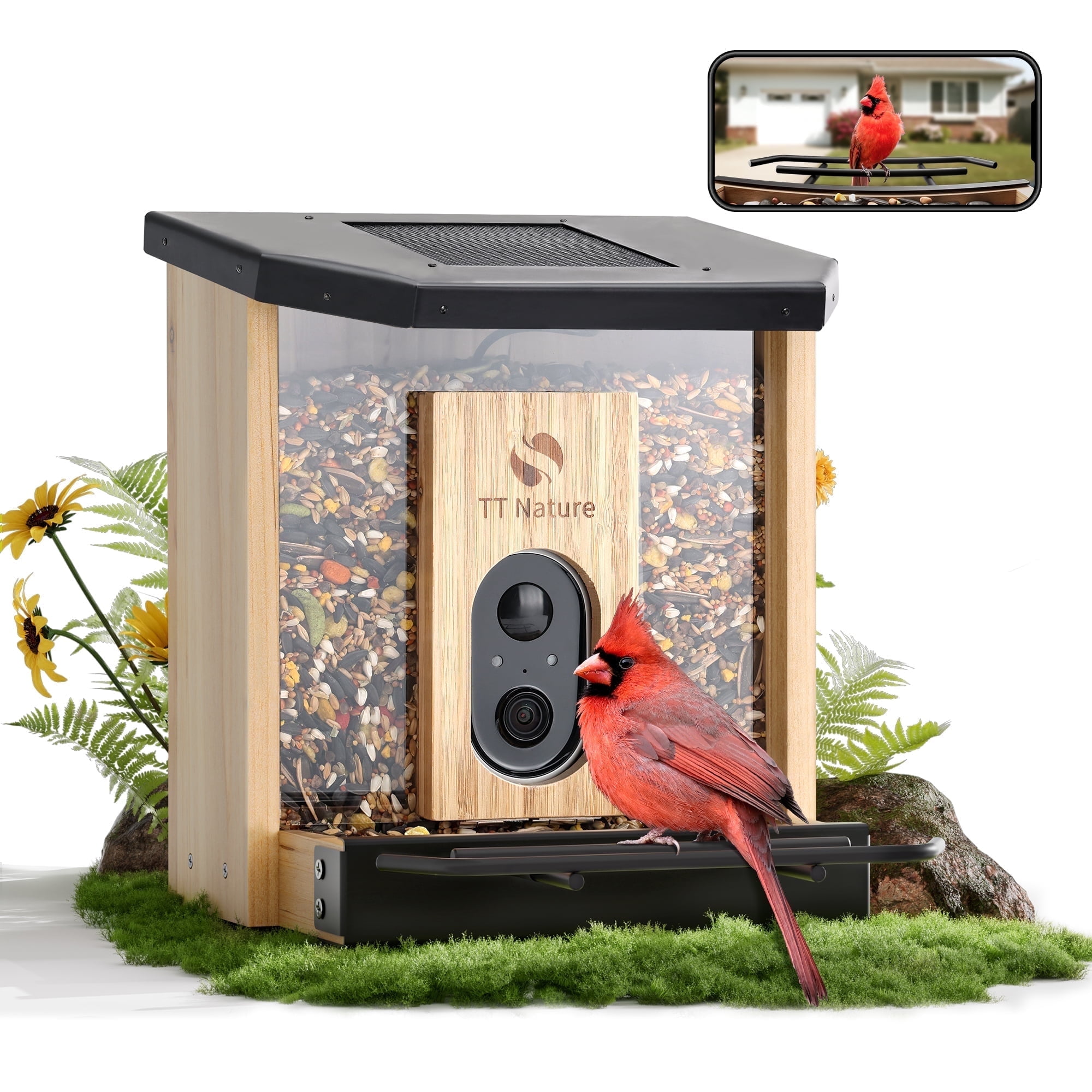 TT Nature Smart Bird Feeder with Camera Solar Powered, AI Identify ...