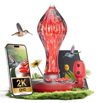 Soliom Smart Hummingbird Feeder with Camera, 3W Solar Powered, AI Bird ...