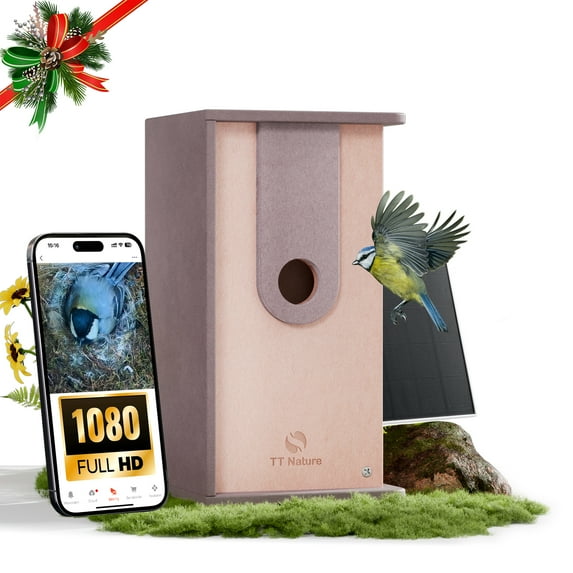 TT Nature HDPE Solar Powered Smart Bird House with Camera, Outdoor Bird ...