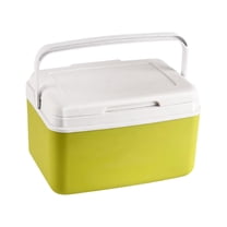 Colaxi Cooler Box Ice Bin Cold Storage Personal Ice Chest Small Hard ...