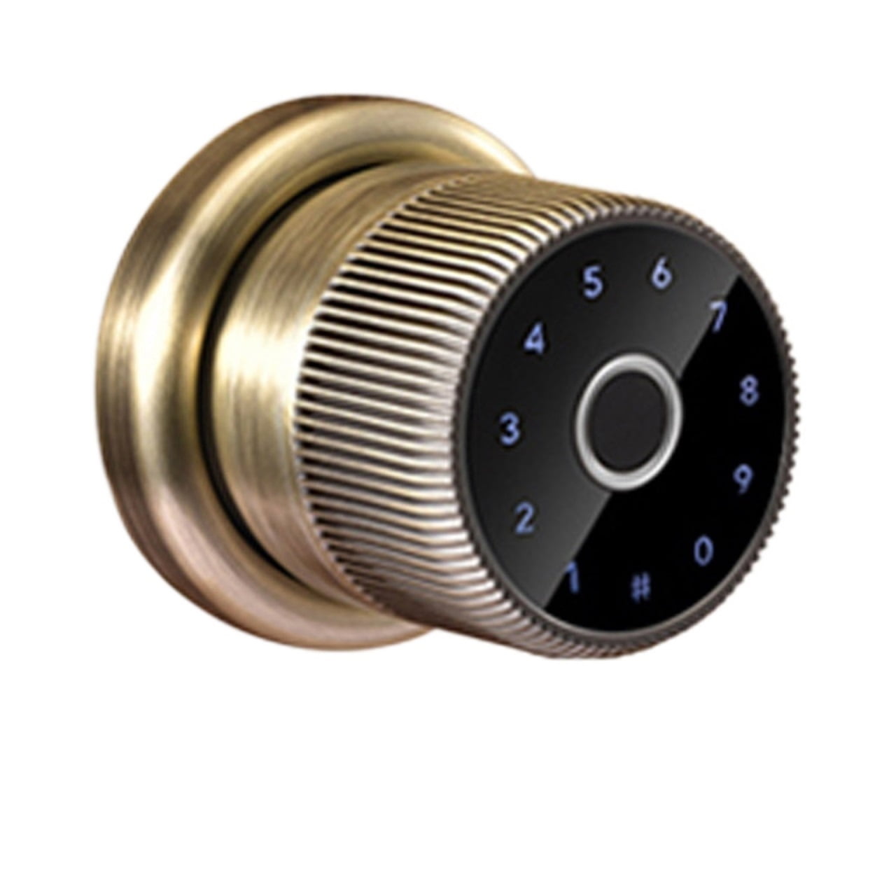 TTLOCK Electronic Digital Keypad Zinc Knob Fingerprint Smart Cylinder ...