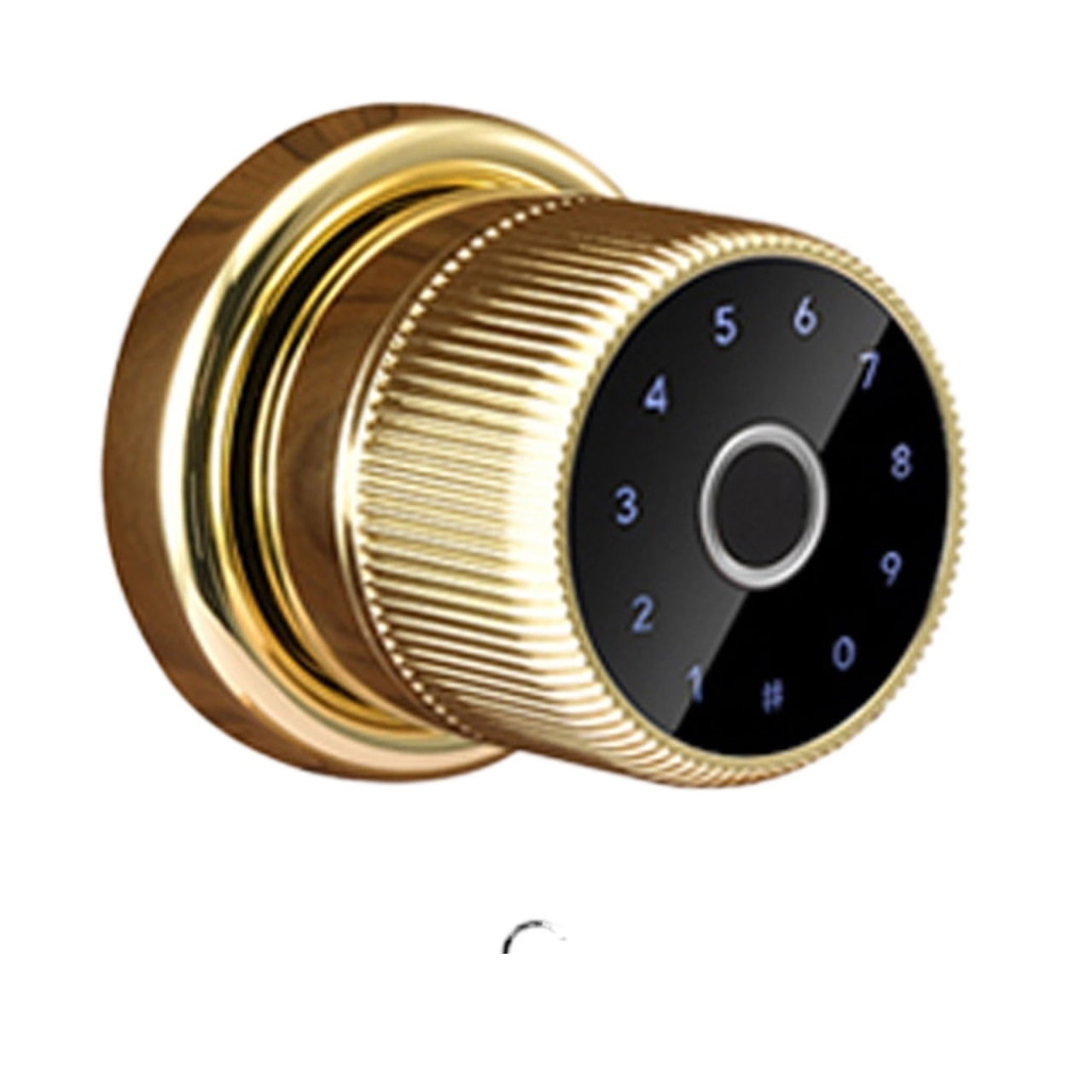 TTLOCK Electronic Digital Keypad Zinc Knob Fingerprint Smart Cylinder ...