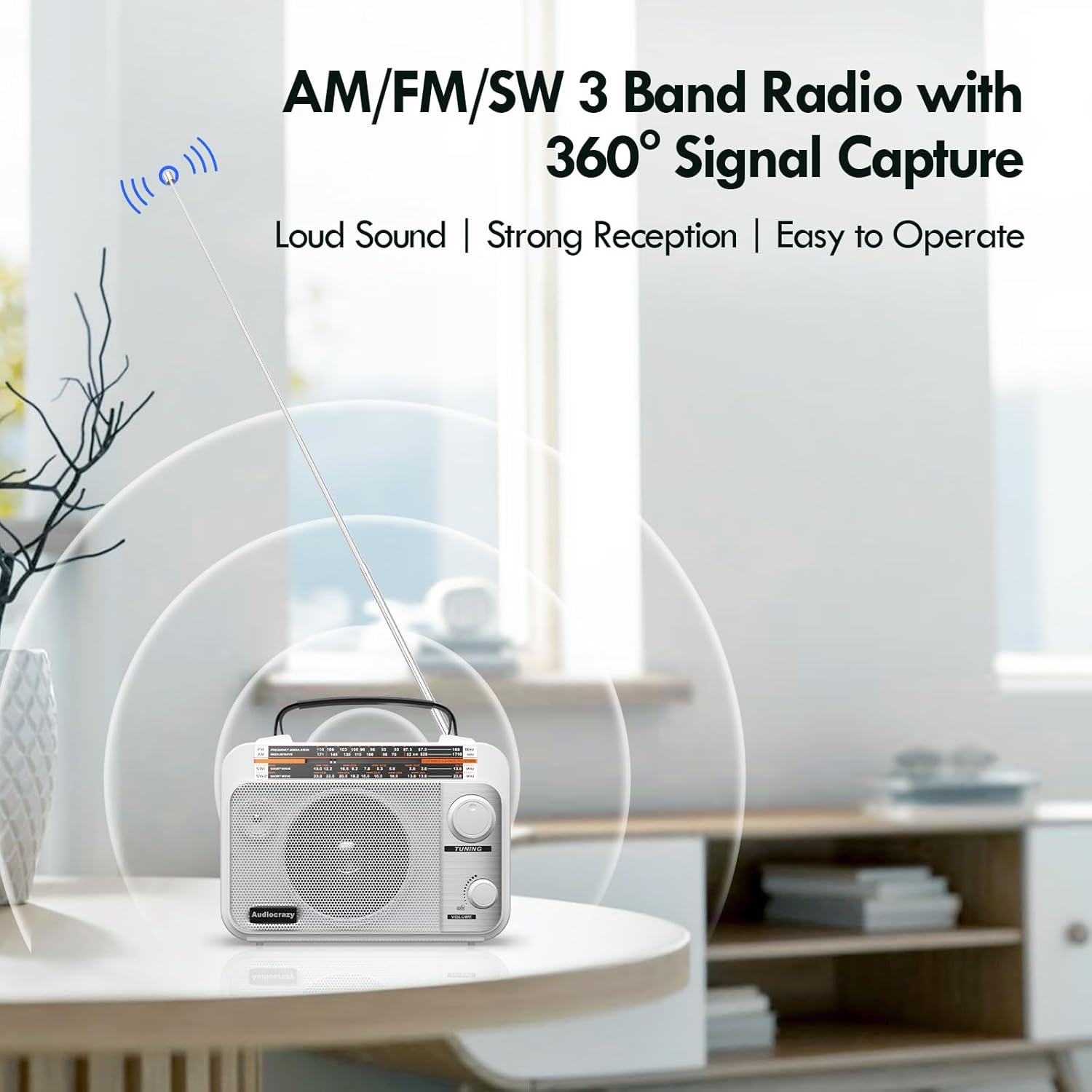 TTTYBA-AM/FM/SW1-2 Radio Shortwave Transistor Radio AC or Battery ...