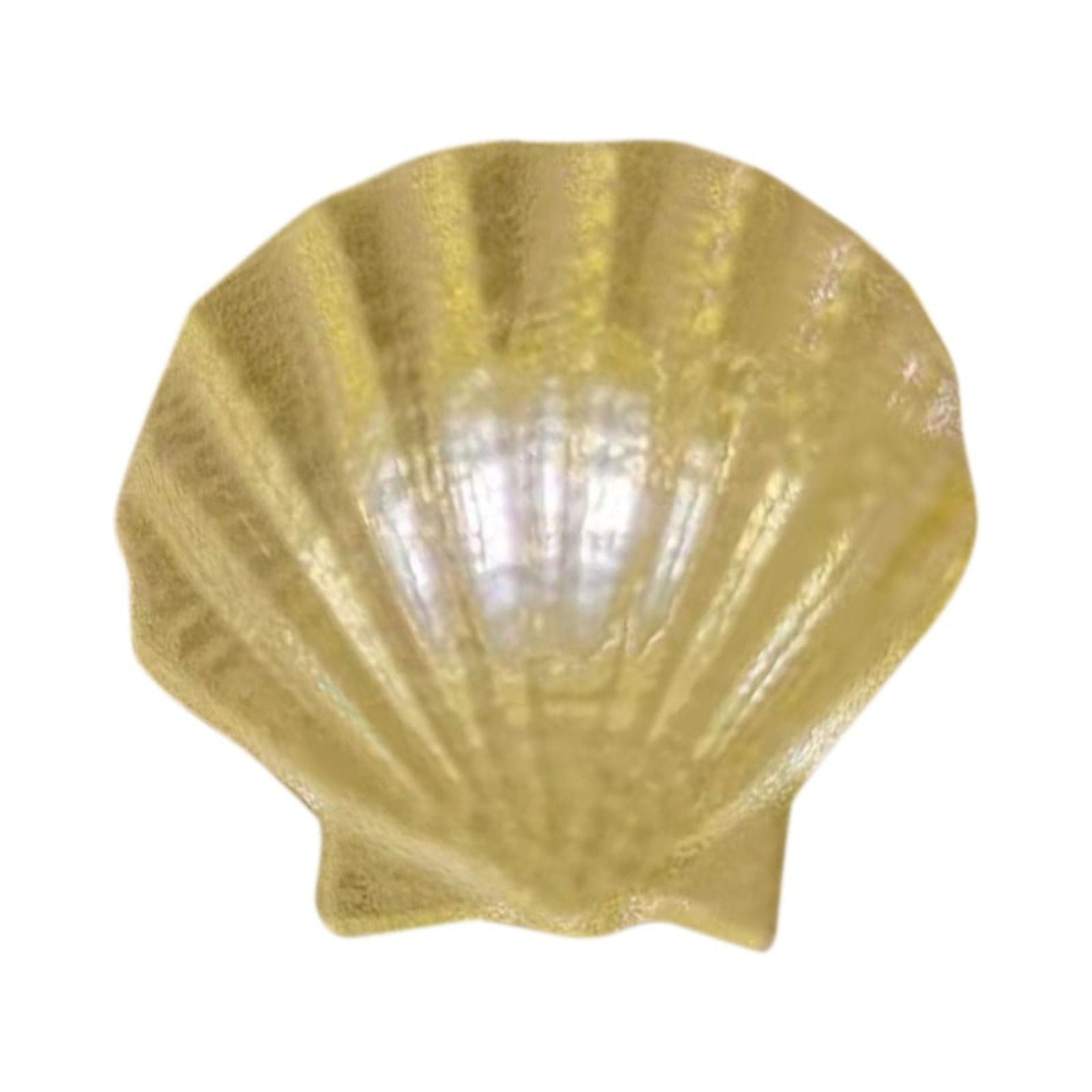 TTUHYWXI Nautical String Lights Seashell Ocean String Lights LED ...