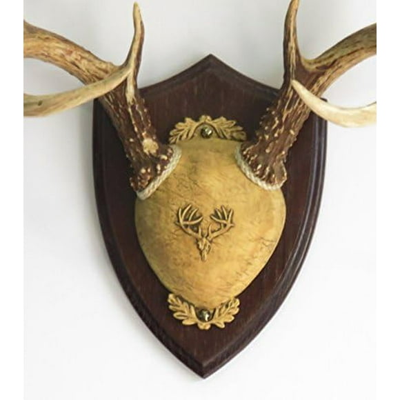 Deer Mounting Kits Antlers
