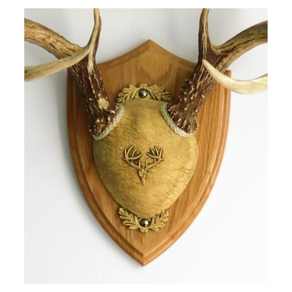 Deer Mounting Kits Antlers