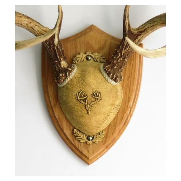 Deer Mounting Kits Antlers